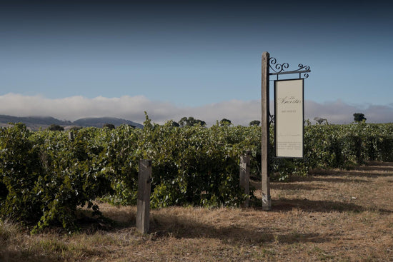 Turkey Flat Wines – Barossa Valley Shiraz & Grenache | Wine Simple